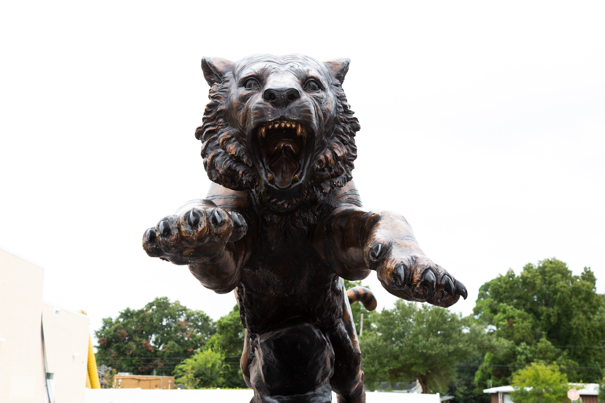 Portfolio Archive - Edward Waters University